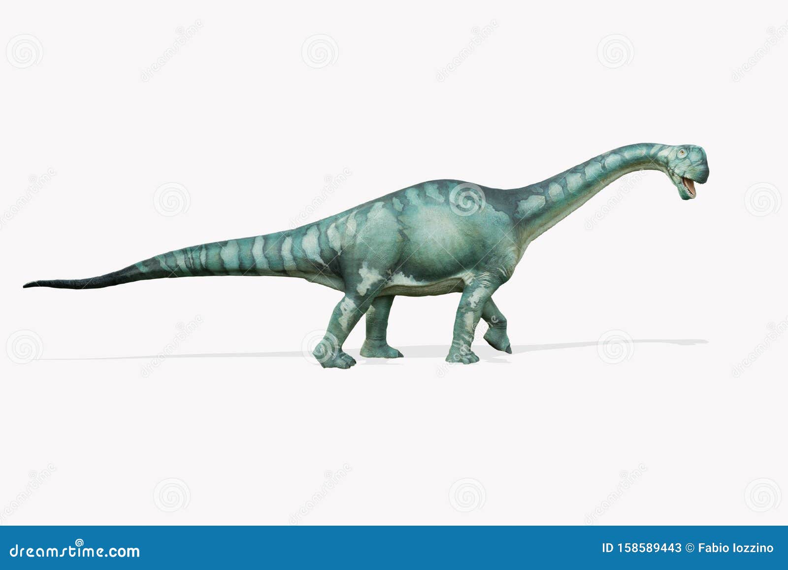 Brontosauro Aislado Sobre Fondo Blanco Imagen de archivo - Imagen de ...