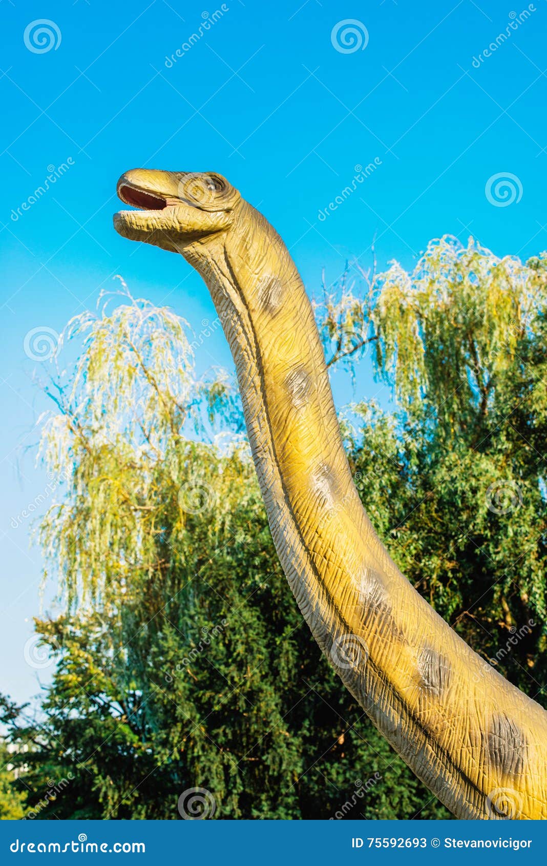 Brontosauro a Novi Sad Dino Park Fotografia Stock Editoriale - Immagine ...