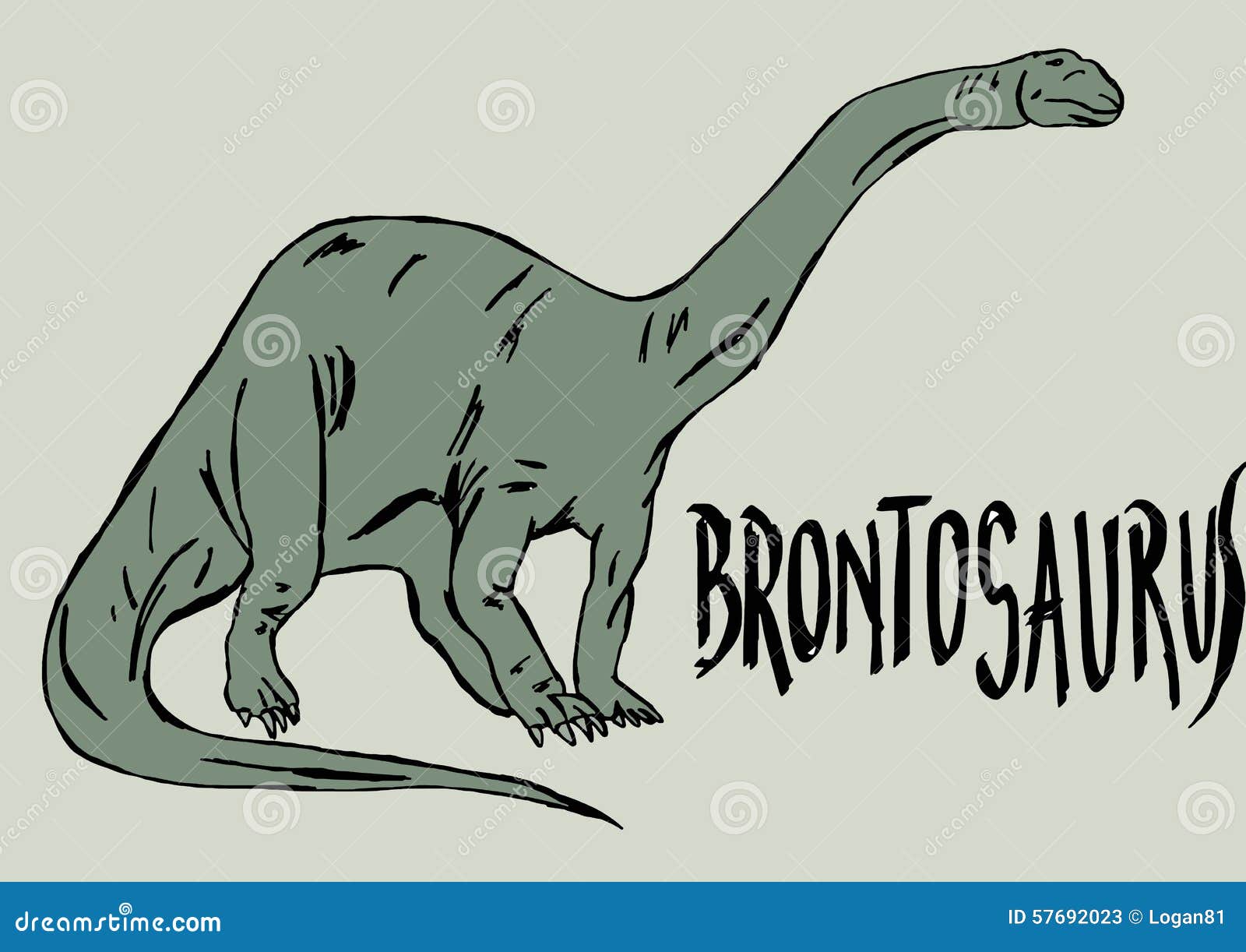 Brontosaurus stock illustration. Illustration of animal - 57692023