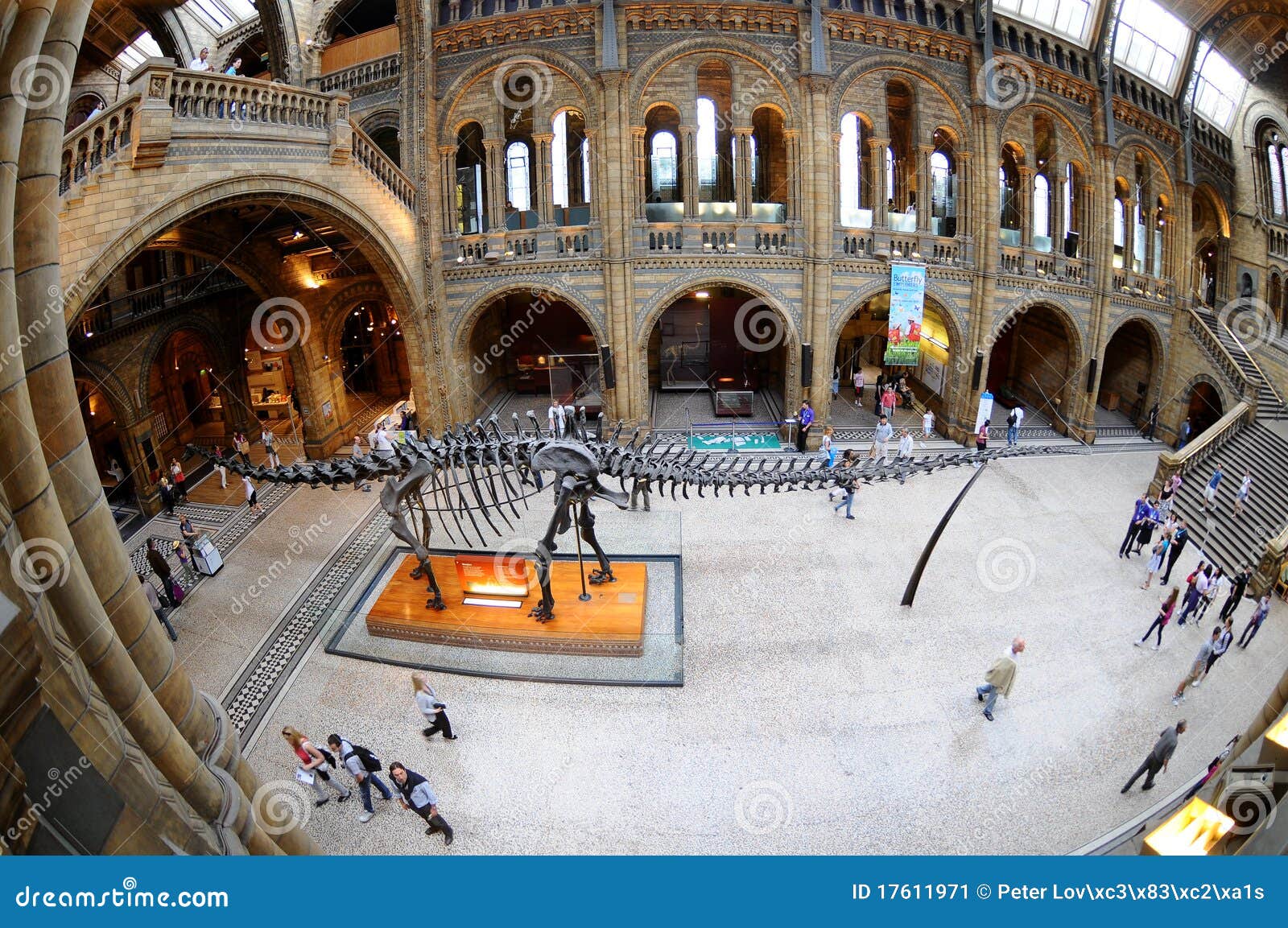 The Brontosaurus Skeleton, the Hub of the Museum Editorial Photo ...