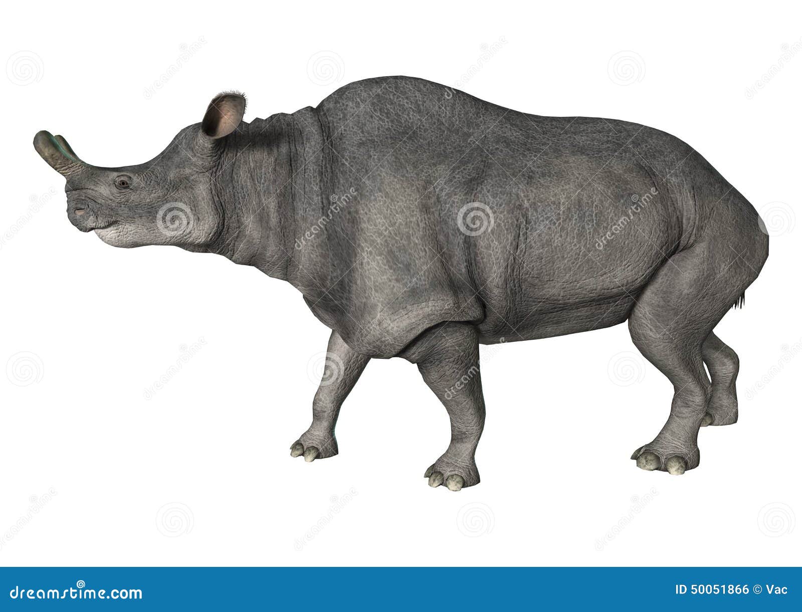 Brontotherium ilustração stock. Ilustração de isolado - 50051866