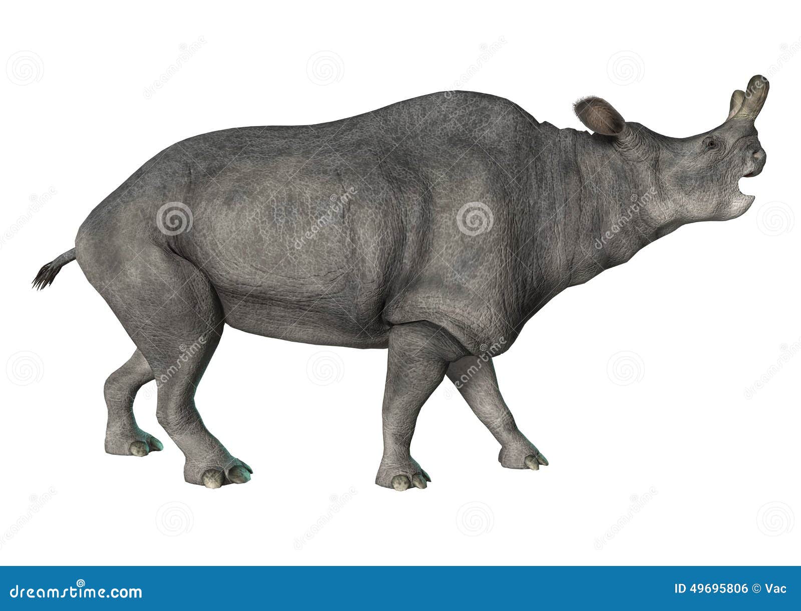 Brontotherium stock illustration. Illustration of isolated - 49695806