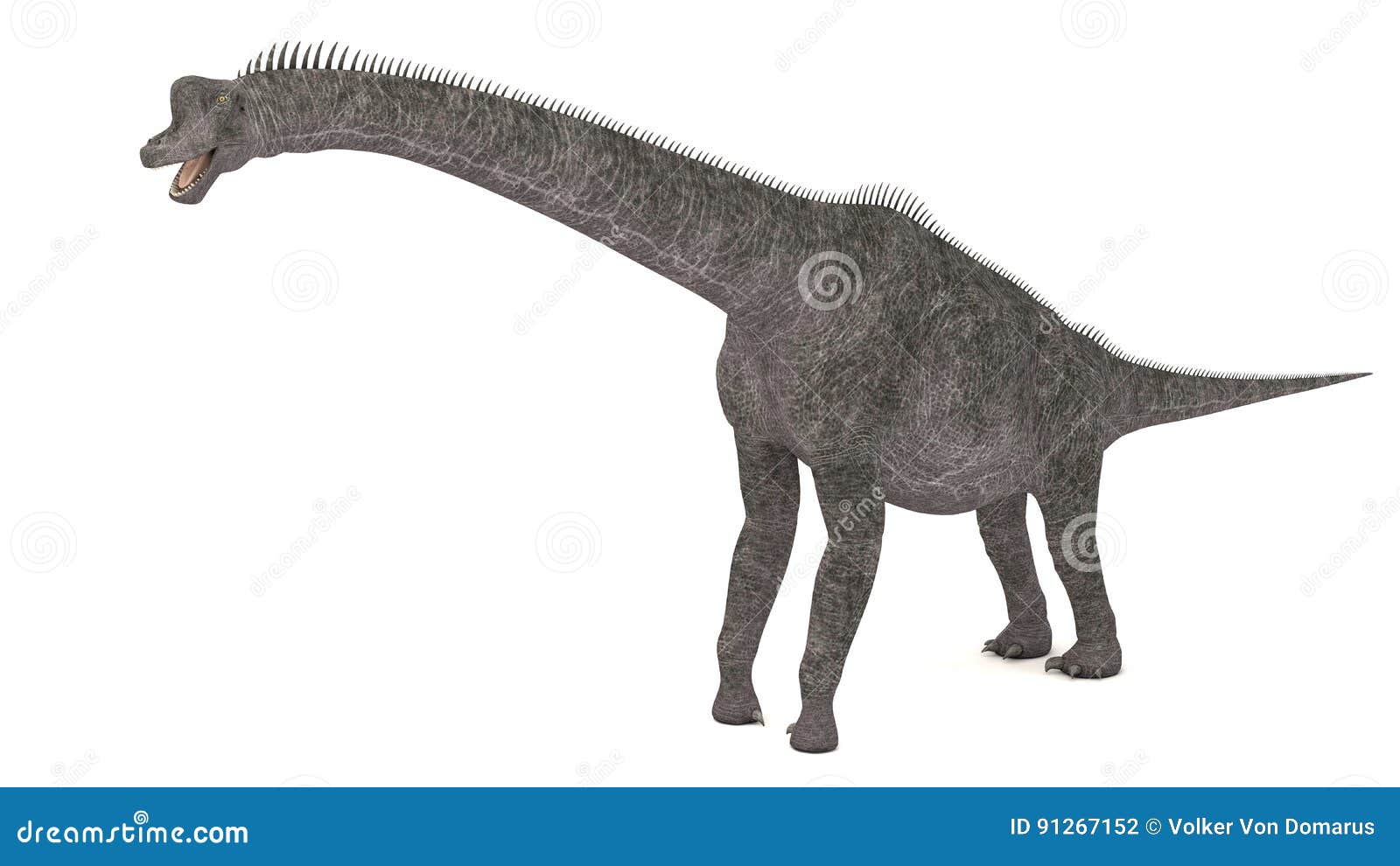 Brontotherium Dinosaur Ancient Vector Illustration Transparent ...