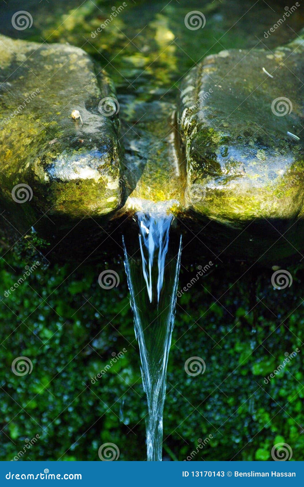 Bronwater in Corsica Fontein Stock Afbeelding - Image of corsica, bron ...