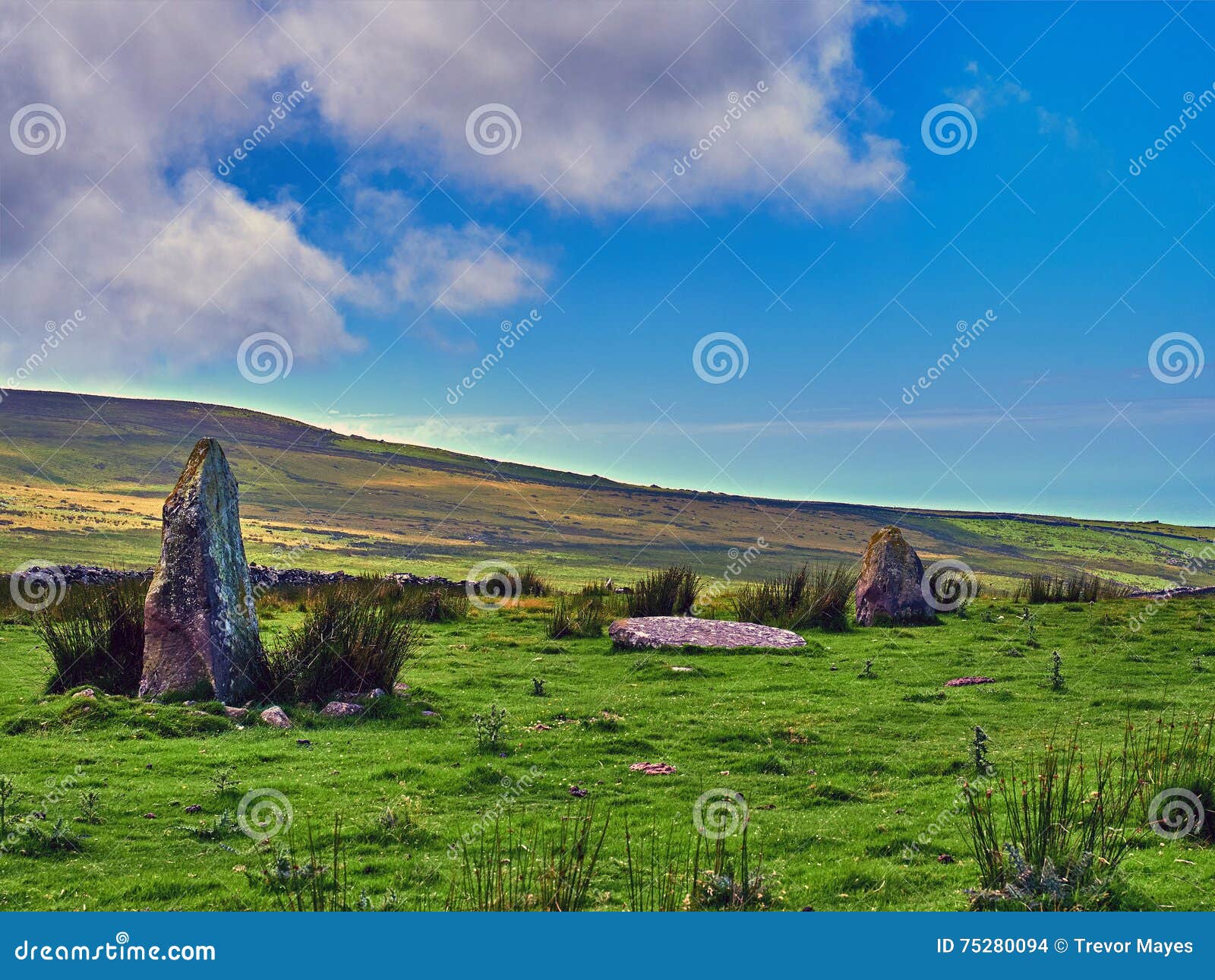 Bronze Age Standing Stones at Morva Stock Photo - Image of wales ...
