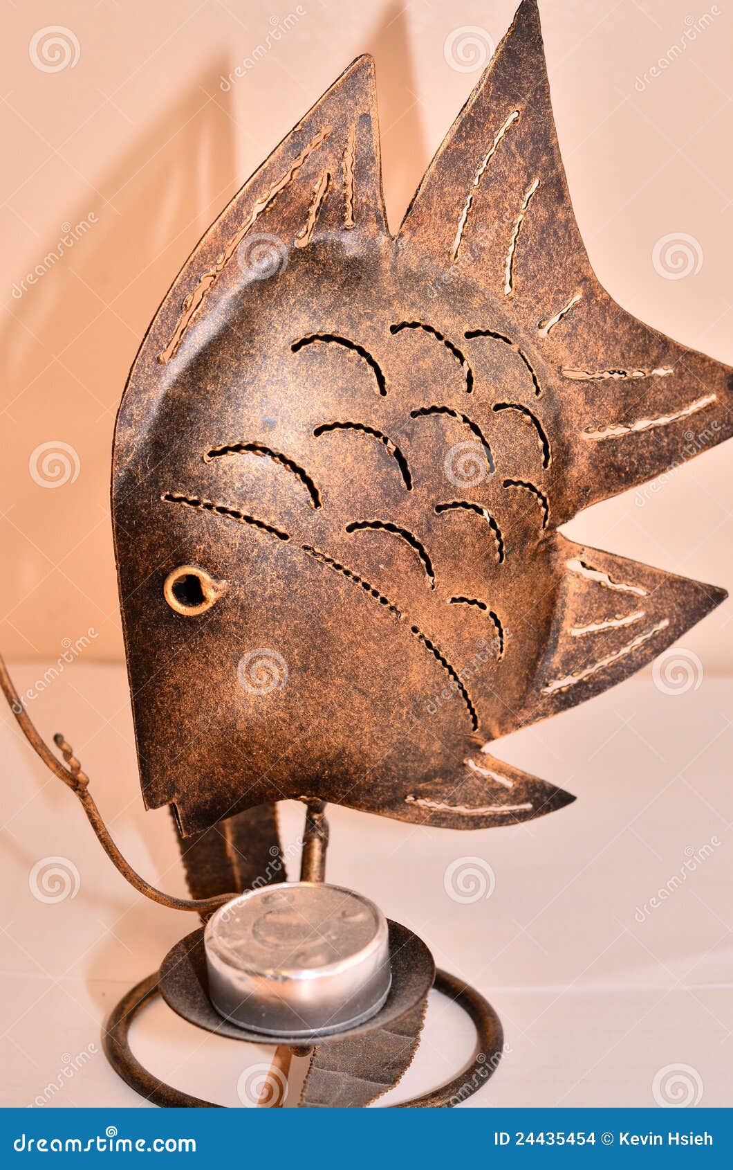 Bronze Fish stock photo. Image of candle, evening, ceremonial - 24435454