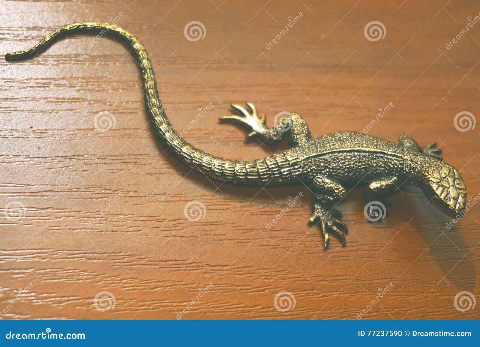 Bronze lizard on the table stock photo. Image of rests - 77237590