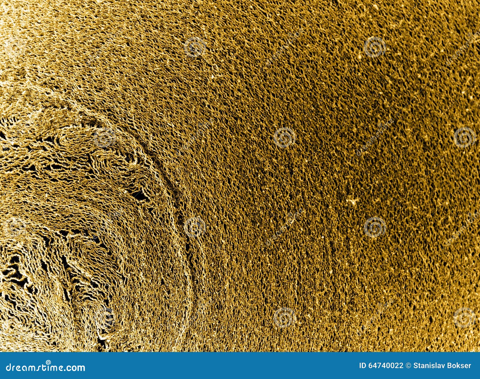 World Map With Texture On Global Satellite Photo, Earth View From Space ...