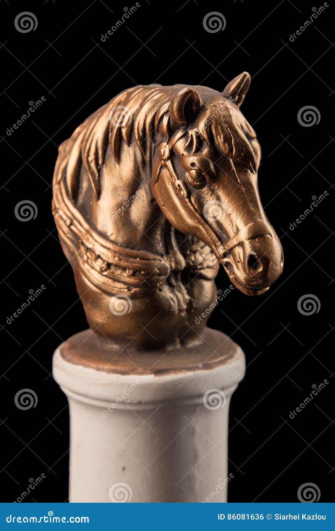 Muzzle Horse Cowboy With A Straw In His Mouth On A Blue Field Royalty ...