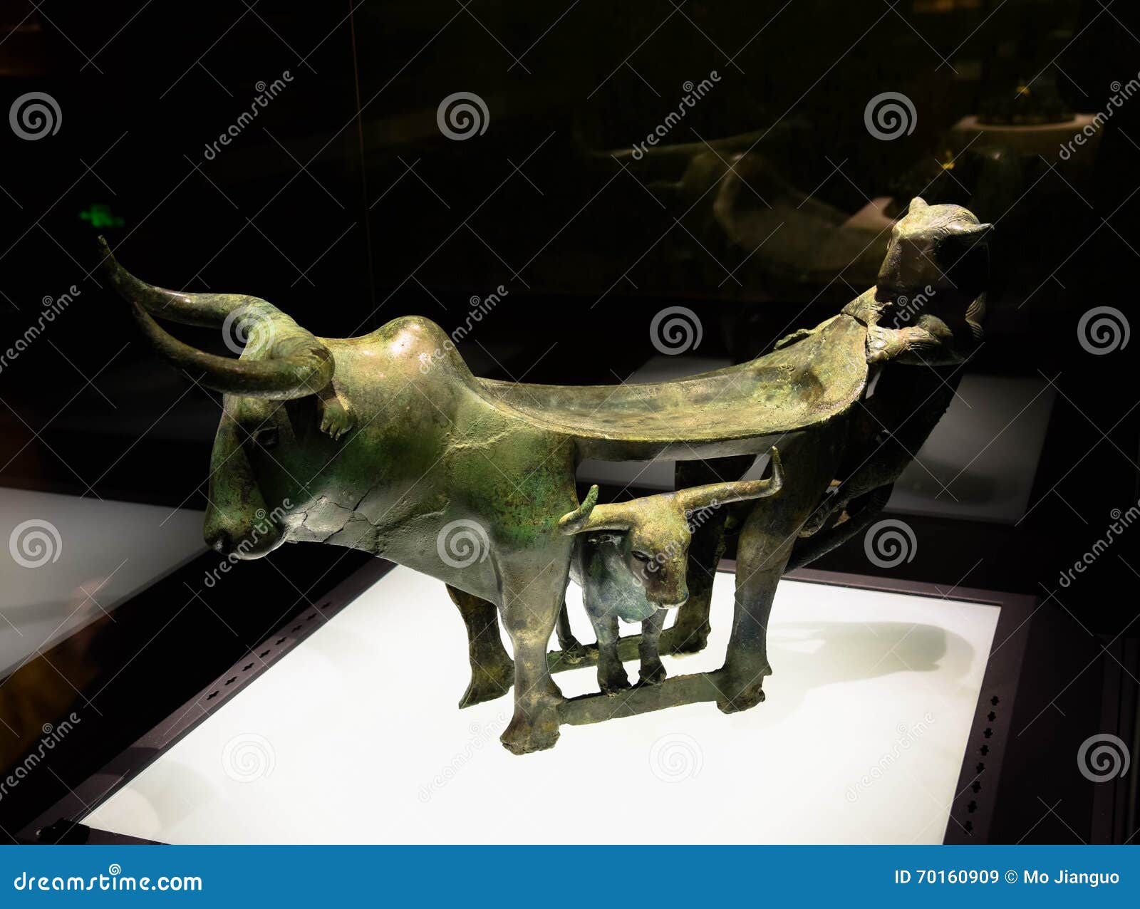 Bronze ox tiger case editorial stock image. Image of coffee - 70160909