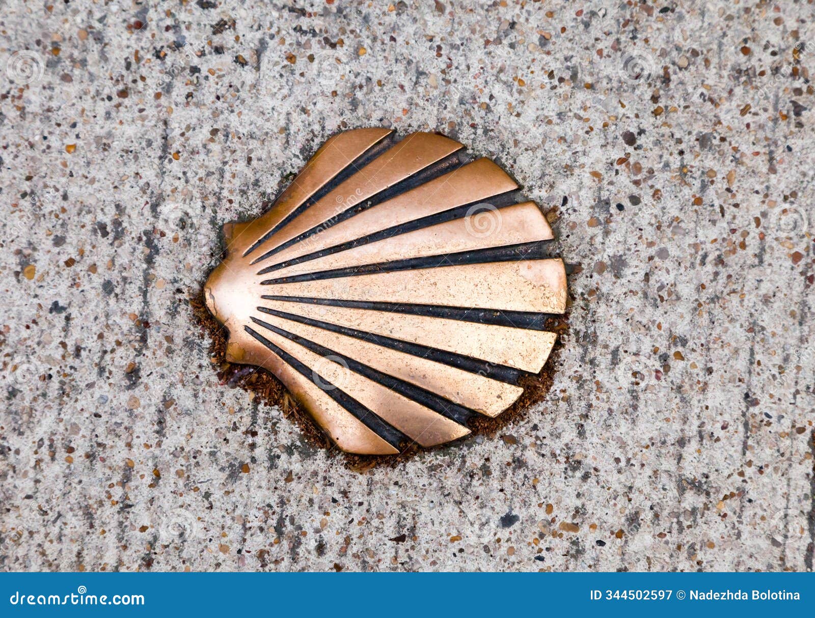 A Bronze Shell Embedded in a Textured Stone Pathway at a Historic Pilgrimage Site Stock Image ...