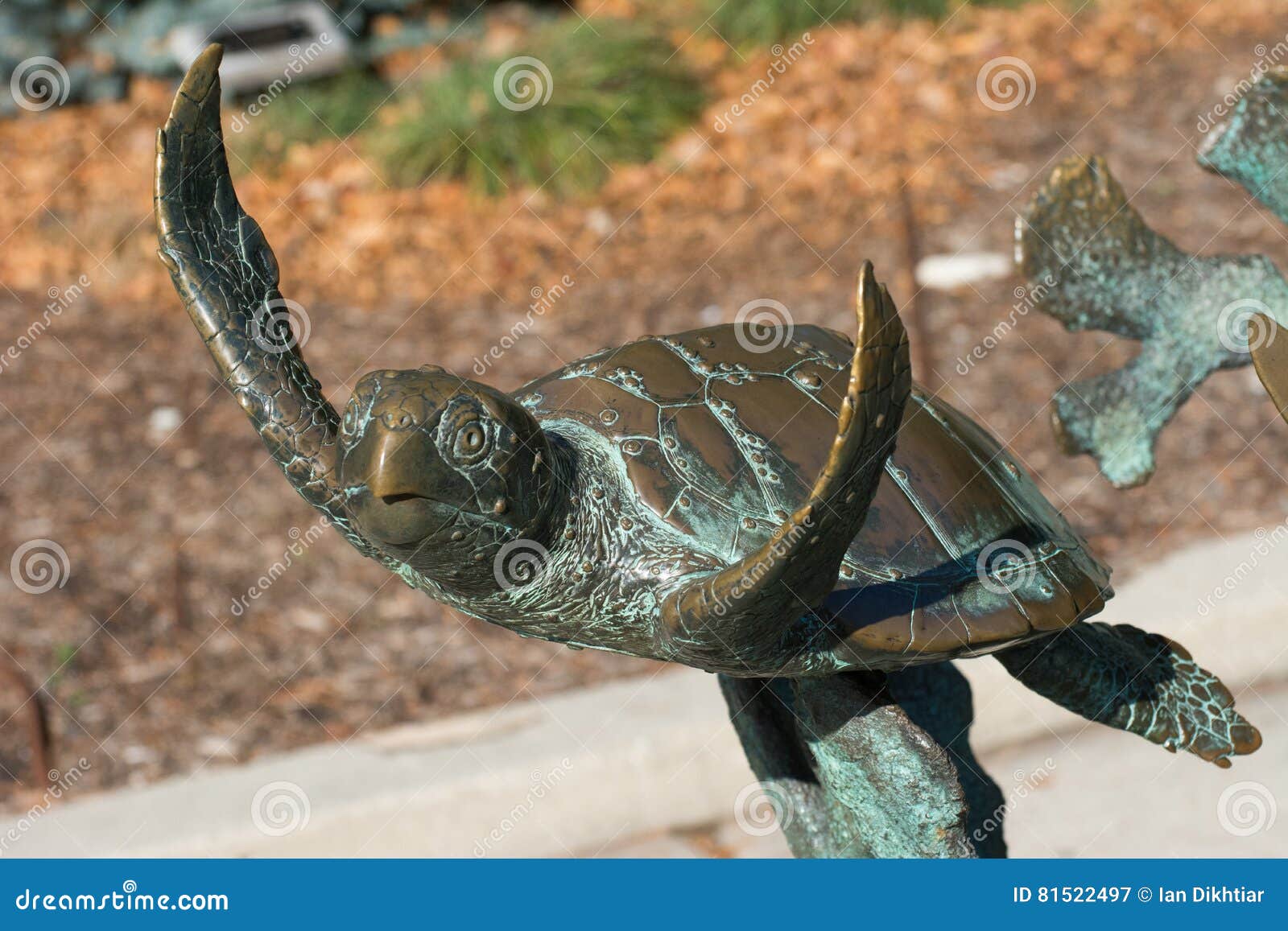 A Bronze Turtle Statue In The Forbidden City, Beijing, China Stock ...