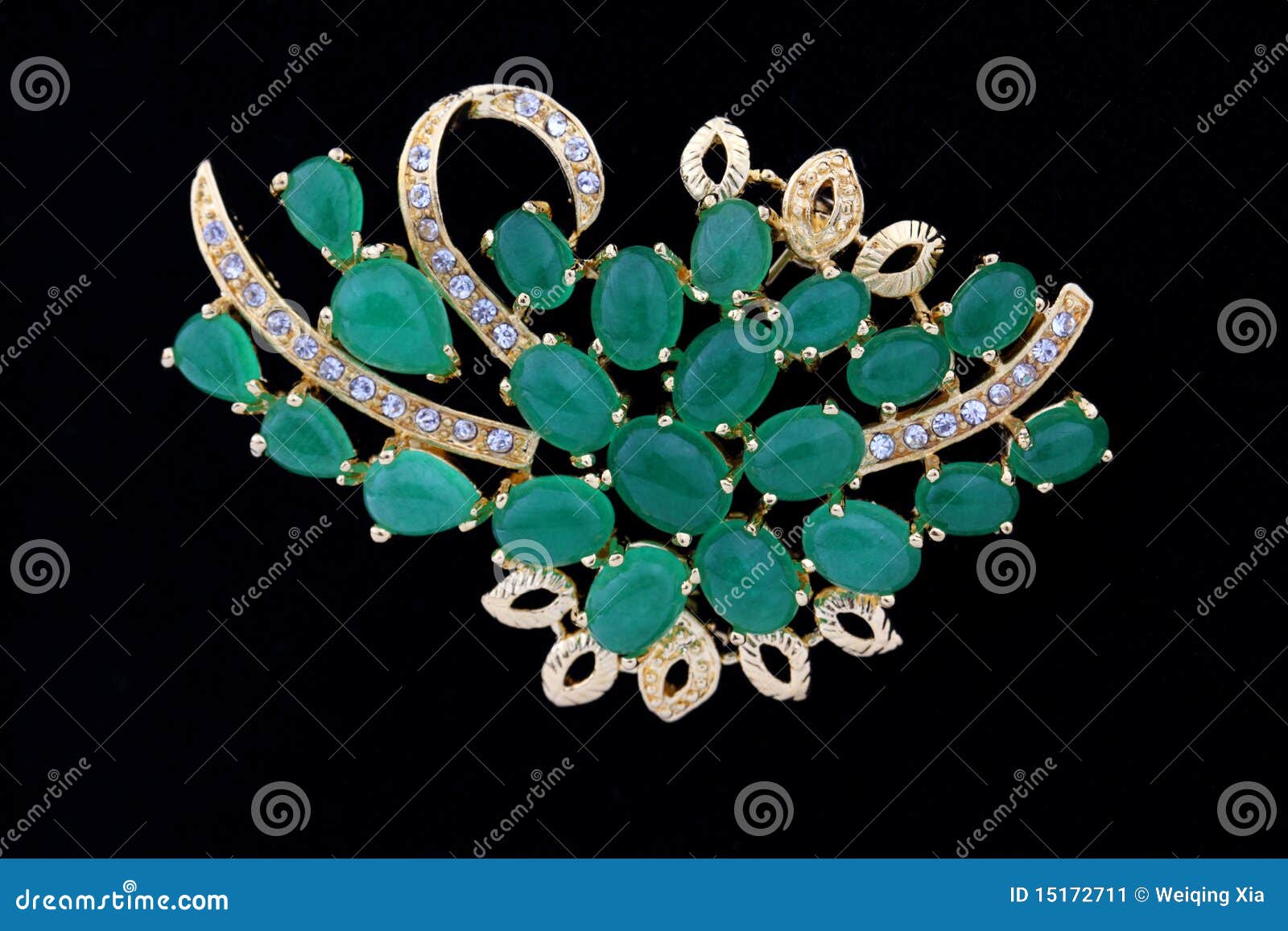 Brooch stock image. Image of jewelry, female, design - 15172711