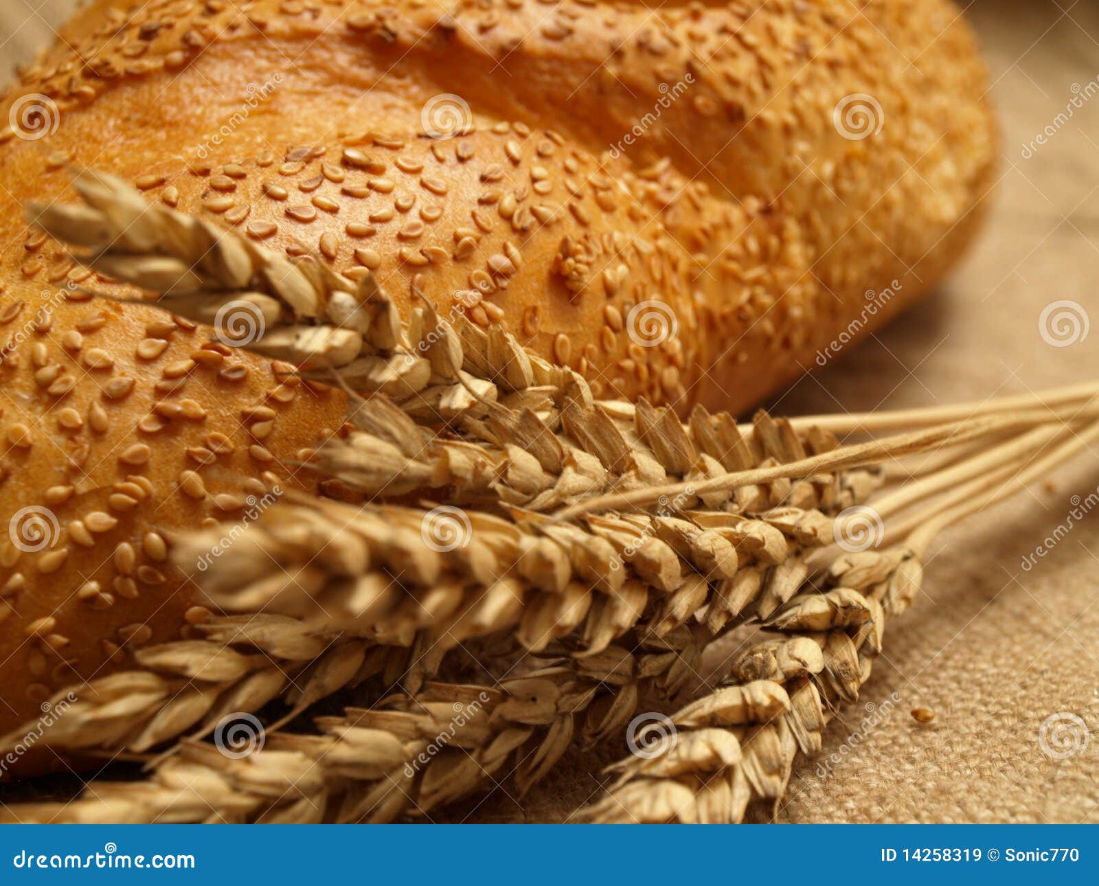 Brood stock afbeelding. Image of binnen, gezondheid, deeg - 14258319