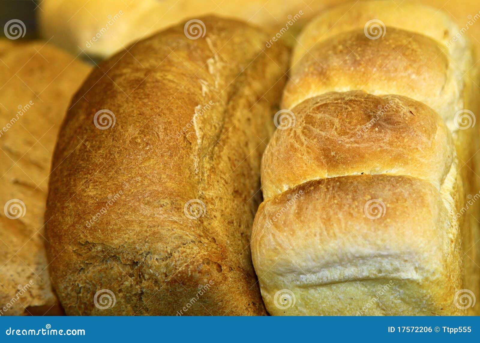 Brood stock foto. Image of volledig, fotografie, velen - 17572206