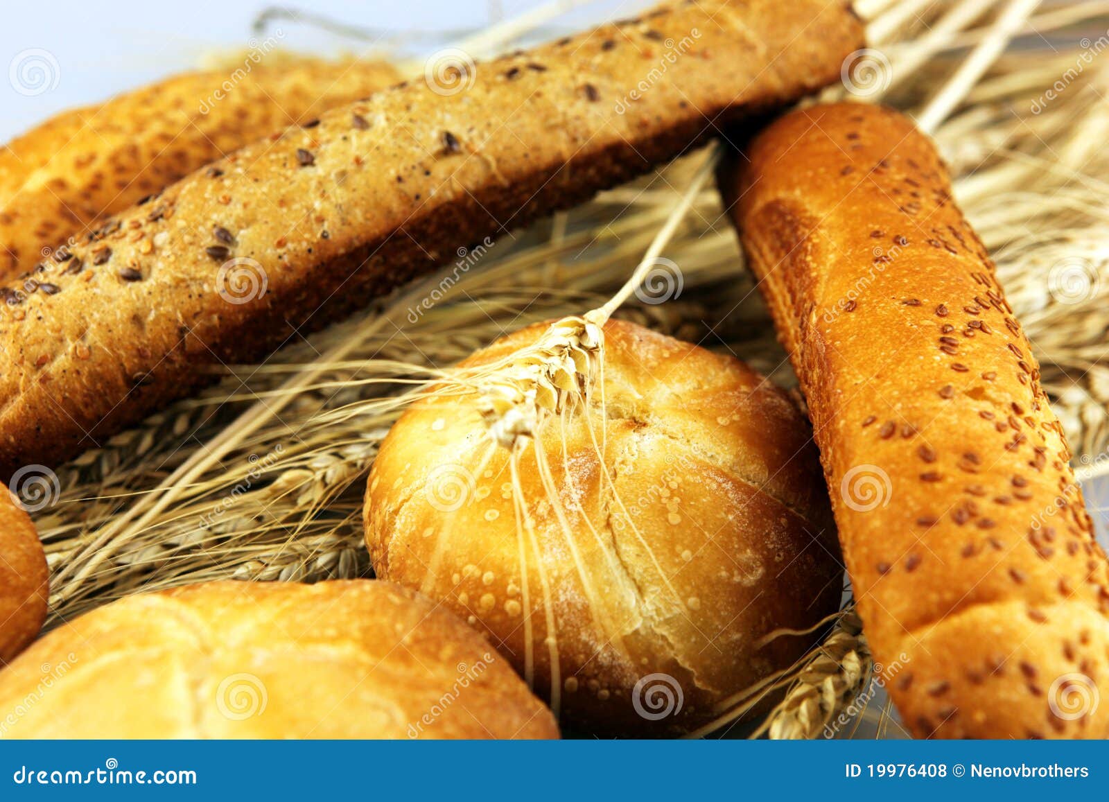 Brood Picture. Image: 19976408