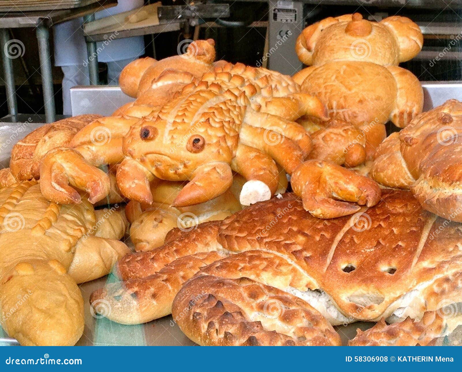 Brood stock foto. Image of genoegen, brood, groot, dieren - 58306908