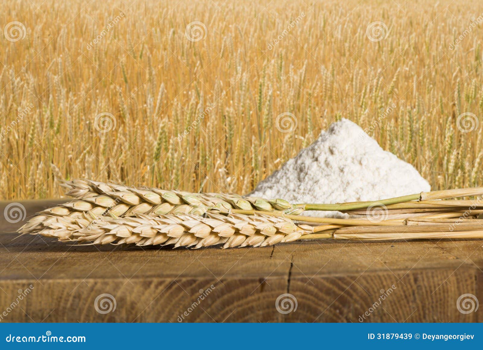 Brood Van Bloem - Bloemen