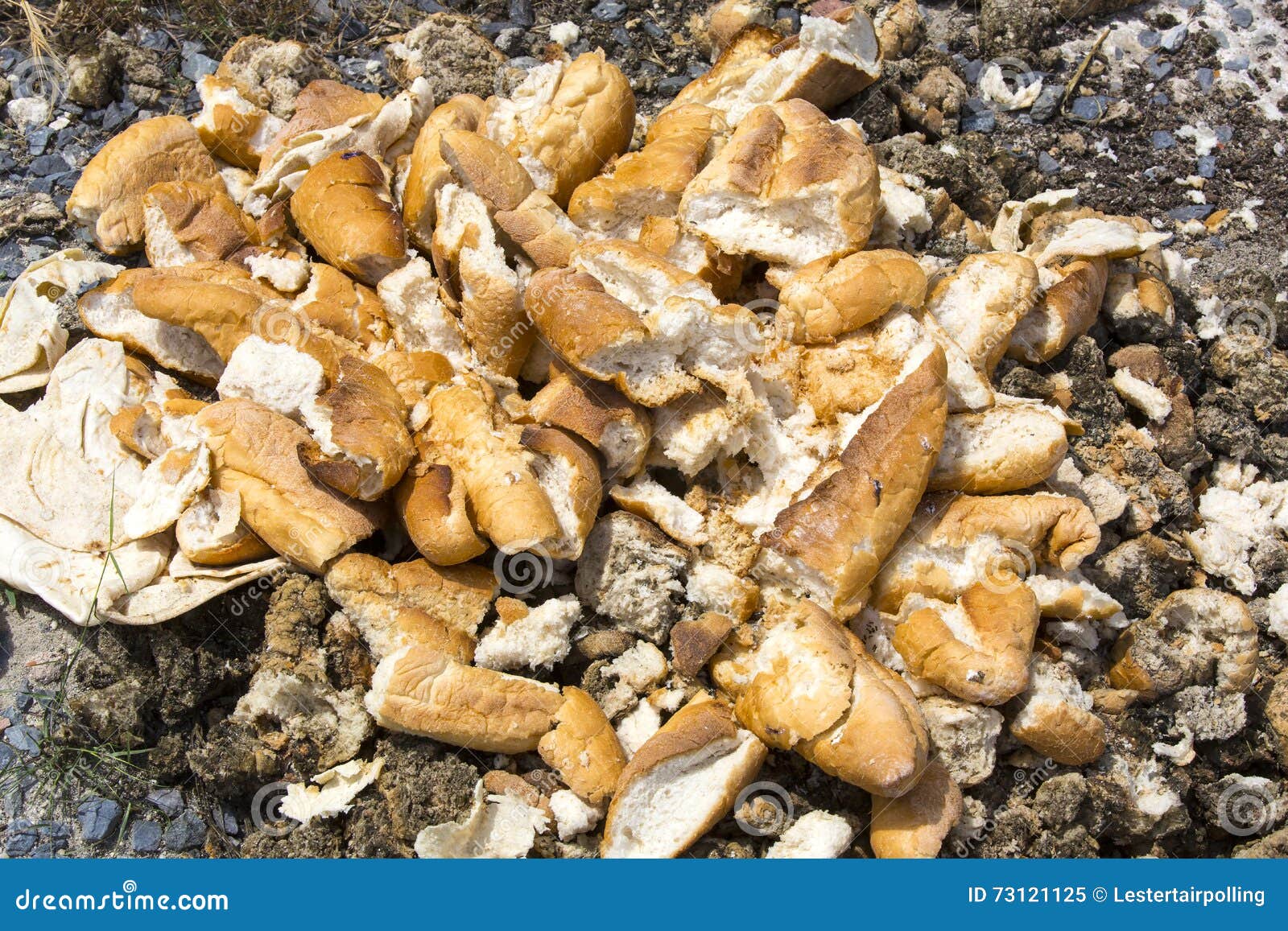 Brood Dat in Het Afval Wordt Geworpen Stock Afbeelding - Image of niet ...