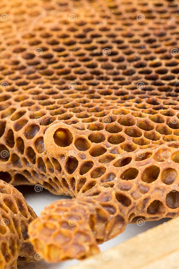 Brood frame with beeswax stock image. Image of elongated - 70509179