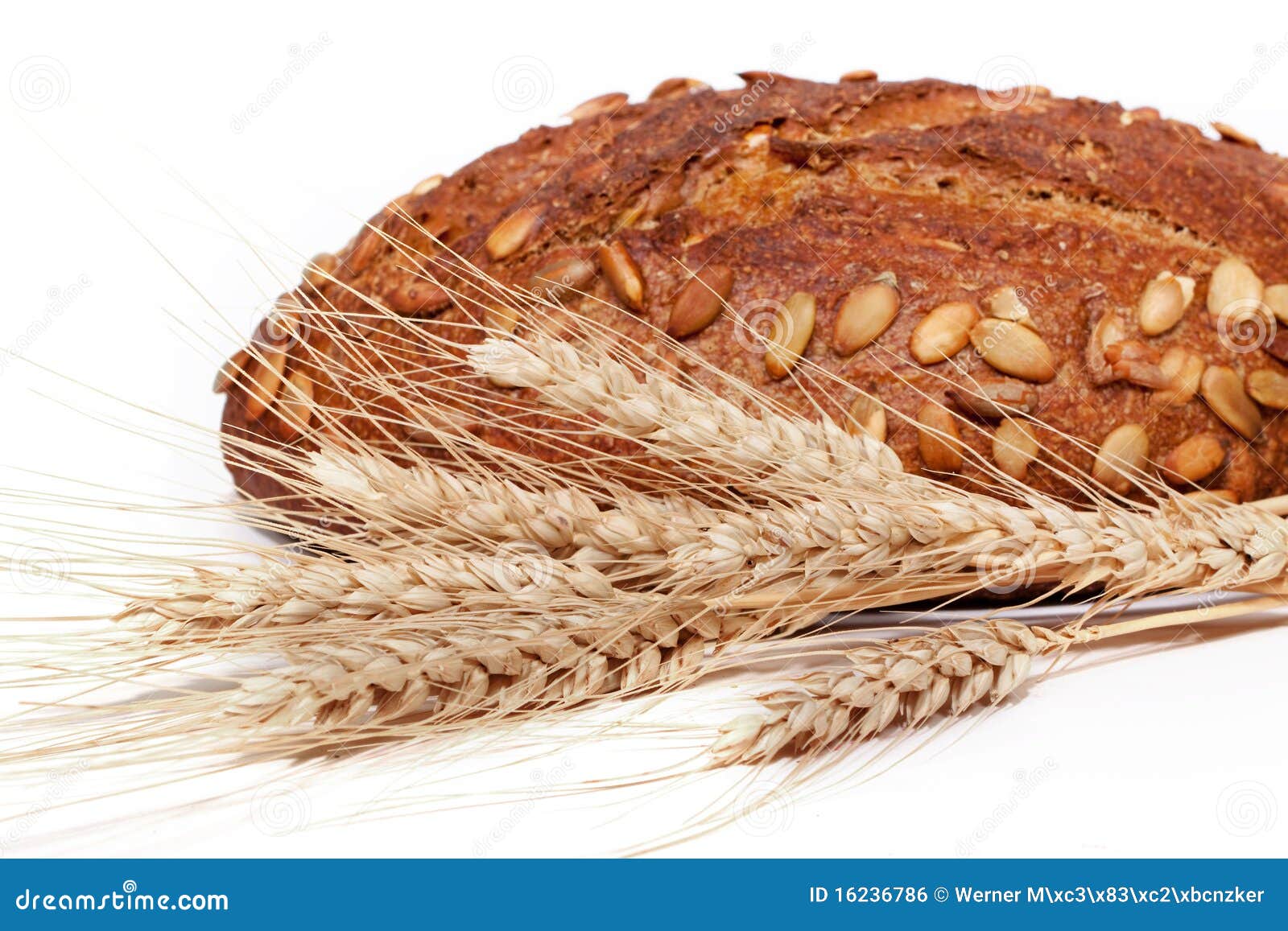 Brood met graan stock foto. Image of geïsoleerd, producten - 16236786