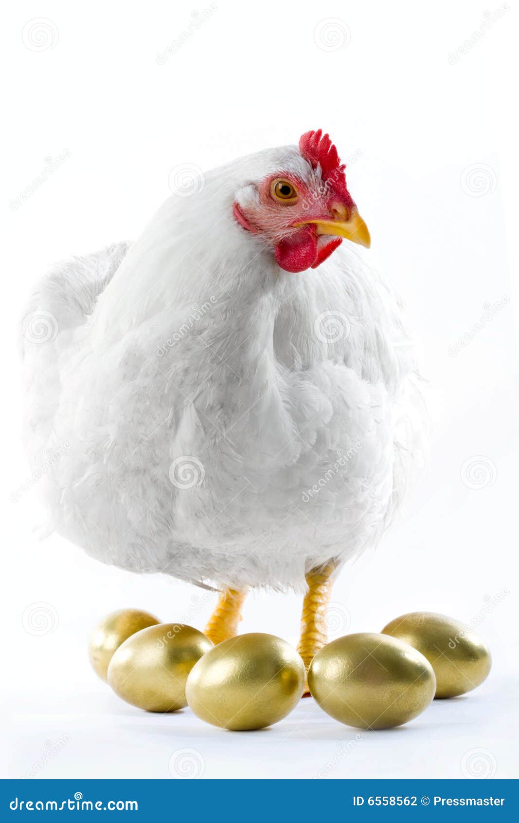Golden Chickens