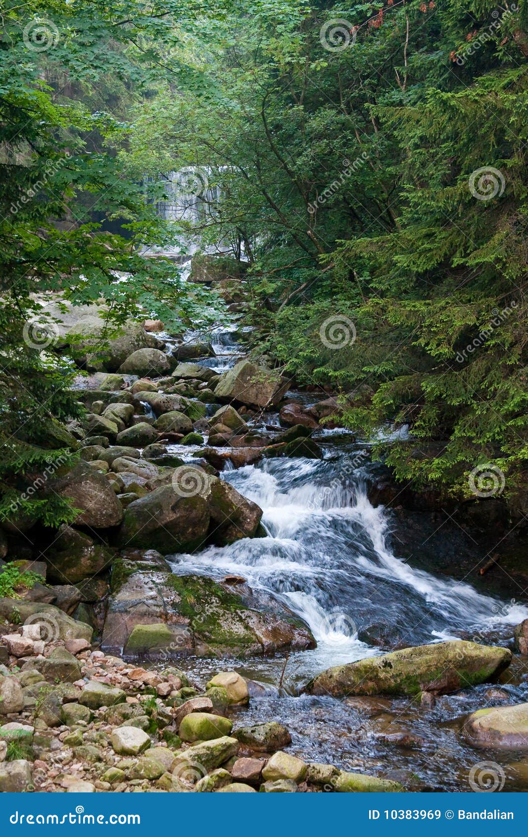 Brook stock image. Image of mountain, water, stream, splash - 10383969