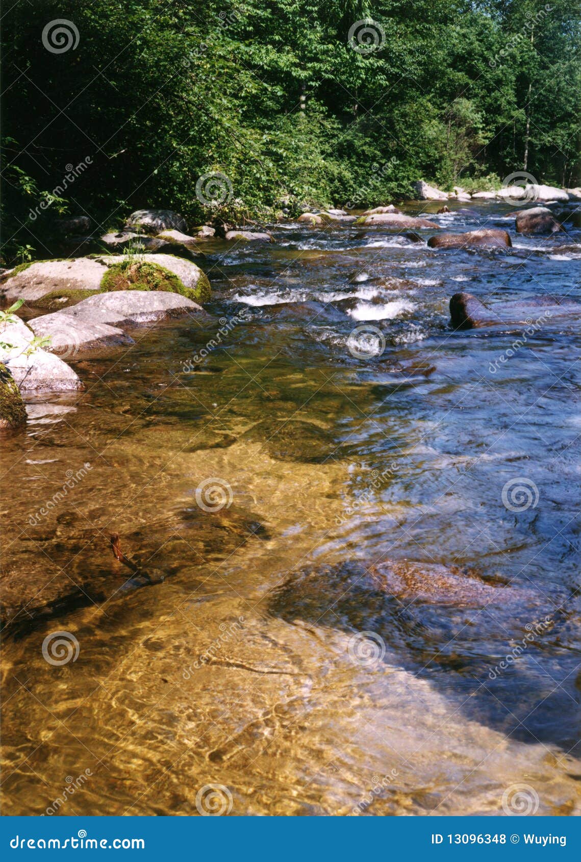 Brook stock photo. Image of nature, away, rural, grass - 13096348