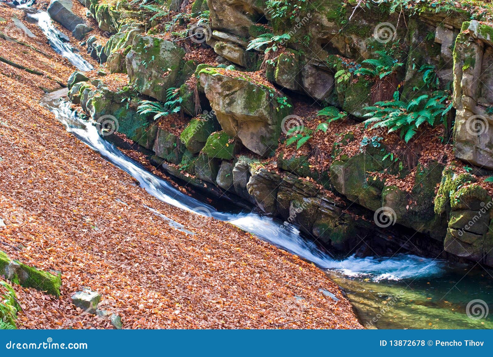 Brook stock photo. Image of fall, autumn, leaf, tourism - 13872678