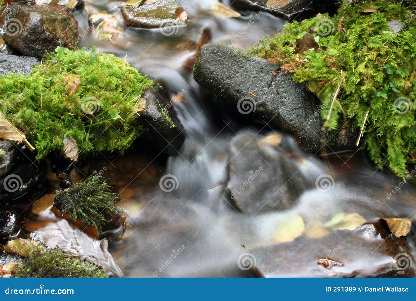 Brook Picture. Image: 291389