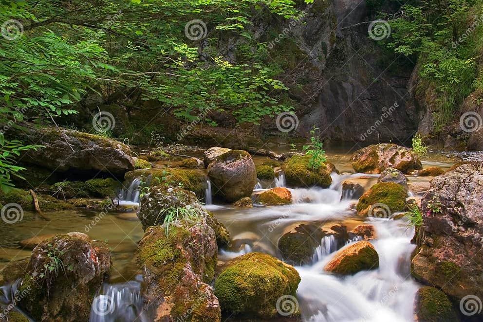 Brook stock photo. Image of leaf, creamy, background, breathtaking - 441550