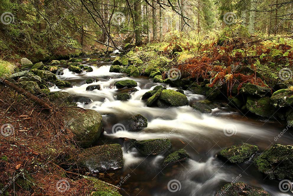 Brook stock image. Image of brooklet, outdoor, autumn - 4427083
