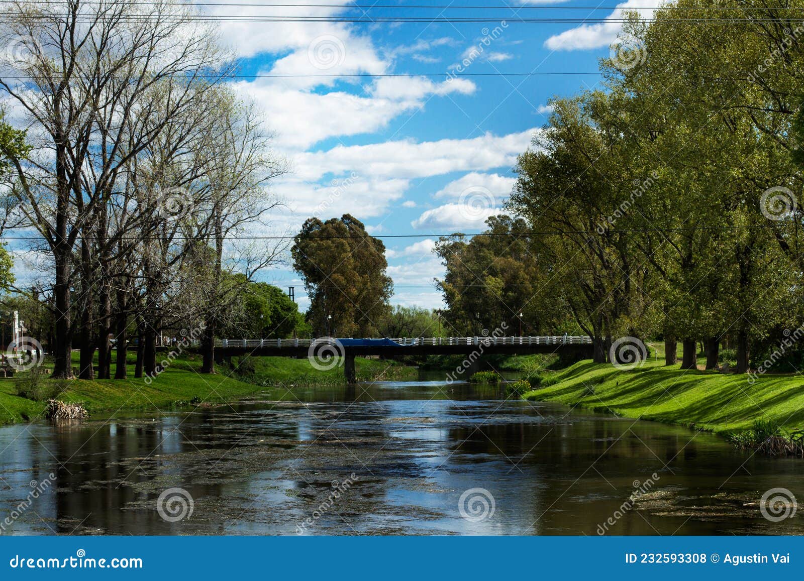 A Brook with a Bridge in a Park Stock Photo - Image of natural, true ...