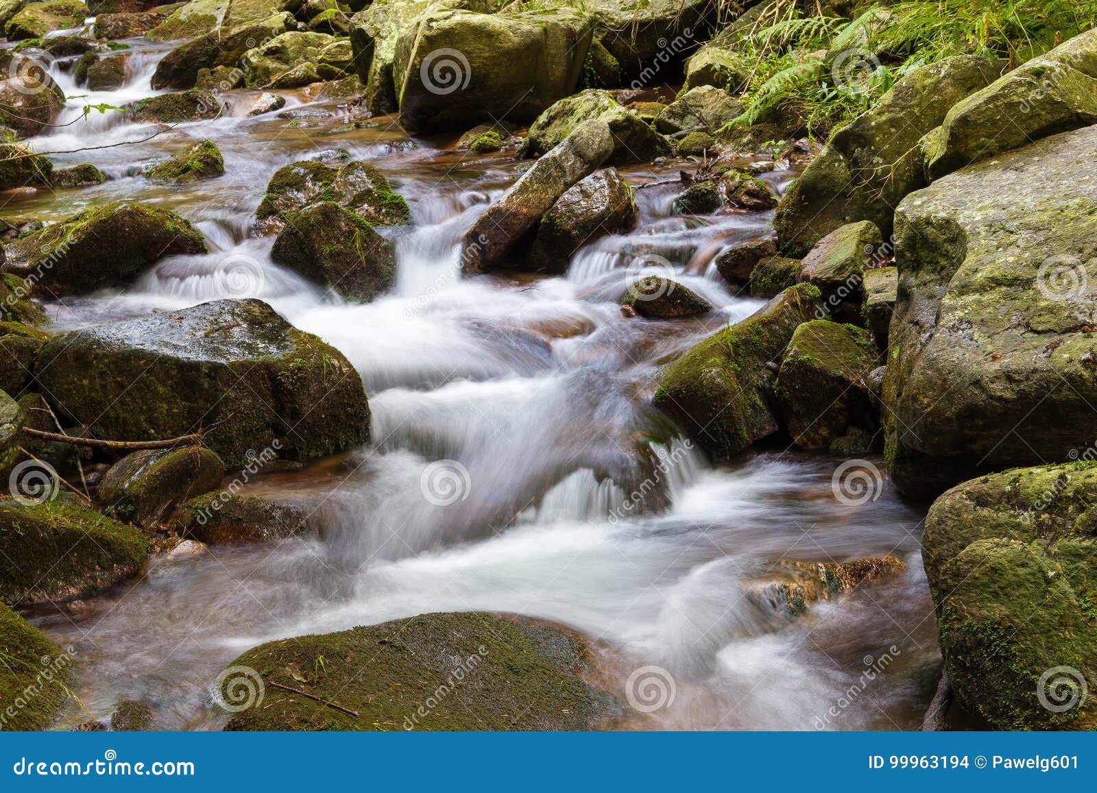 The brook stock photo. Image of water, green, river, hill - 99963194