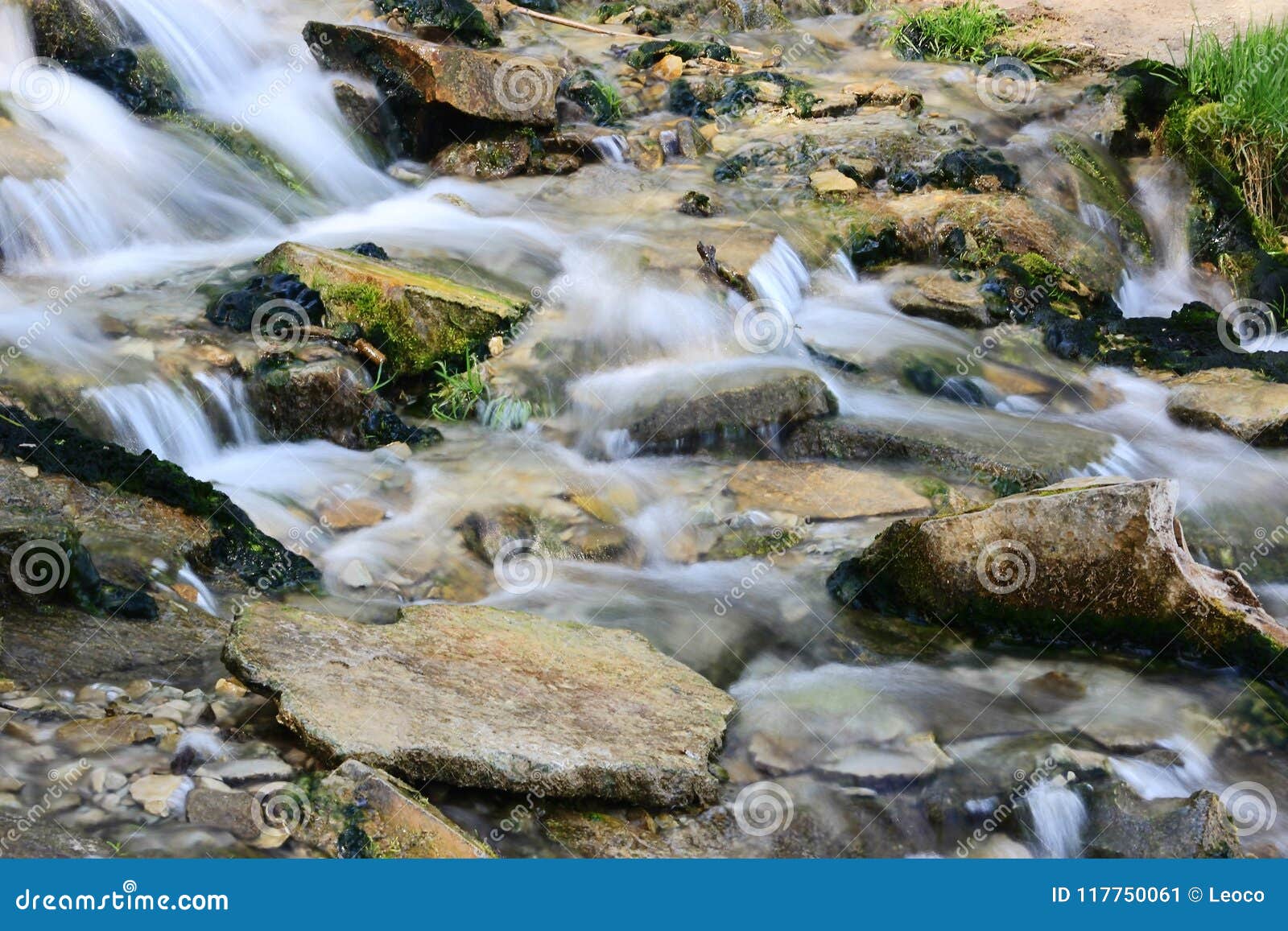 Brook stock image. Image of scenic, transparent, creek - 117750061