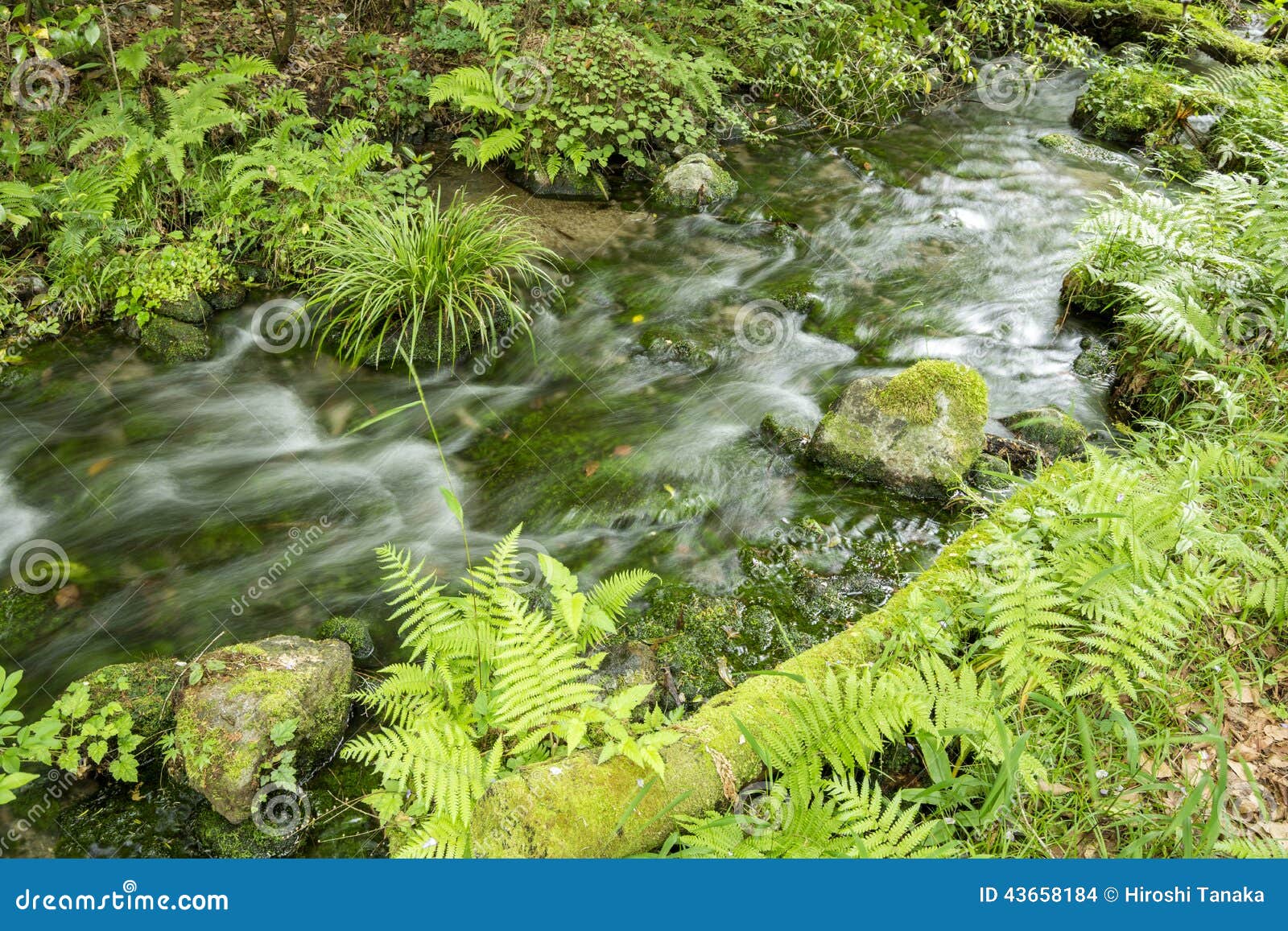 Brook flowing stock photo. Image of bracing, rural, country - 43658184