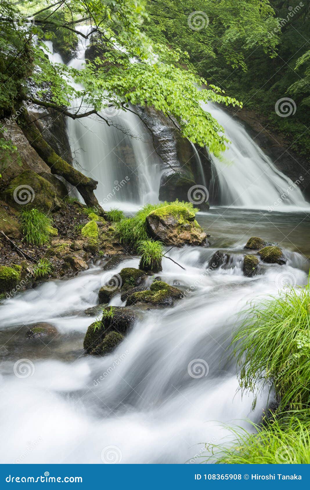 Brook Flowing from Waterfall Stock Photo - Image of clear, early: 108365908