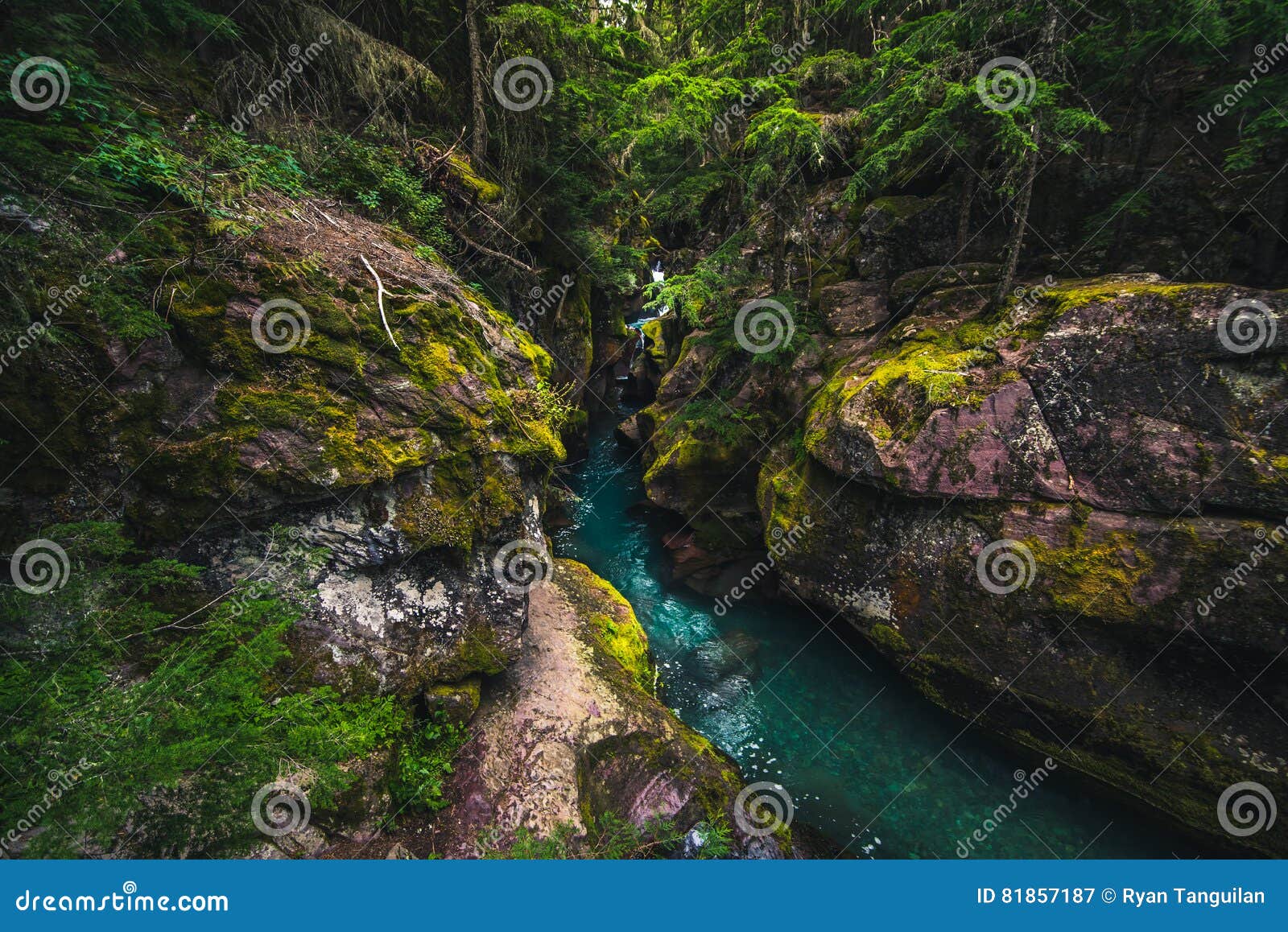 A Brook Flowing through Moss Covered Boulders. Stock Image - Image of ...
