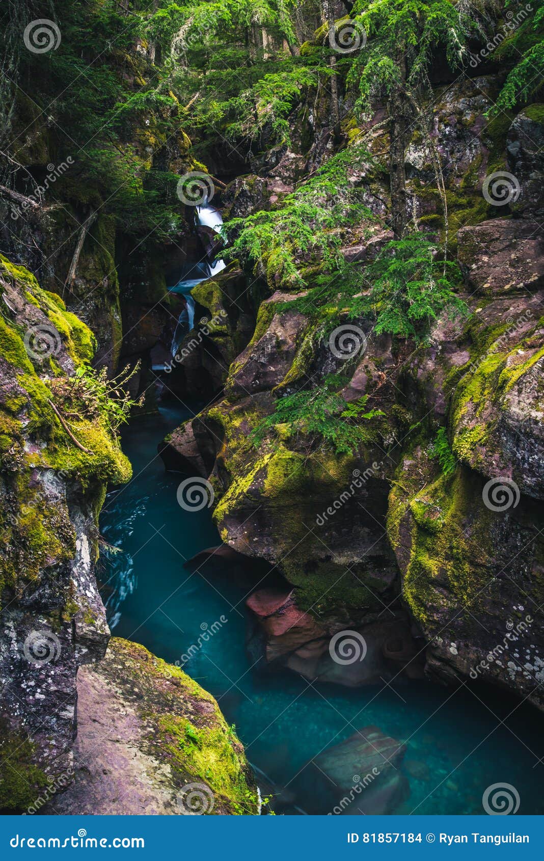 A Brook Flowing through Moss Covered Boulders. [Portrait] Stock Photo ...