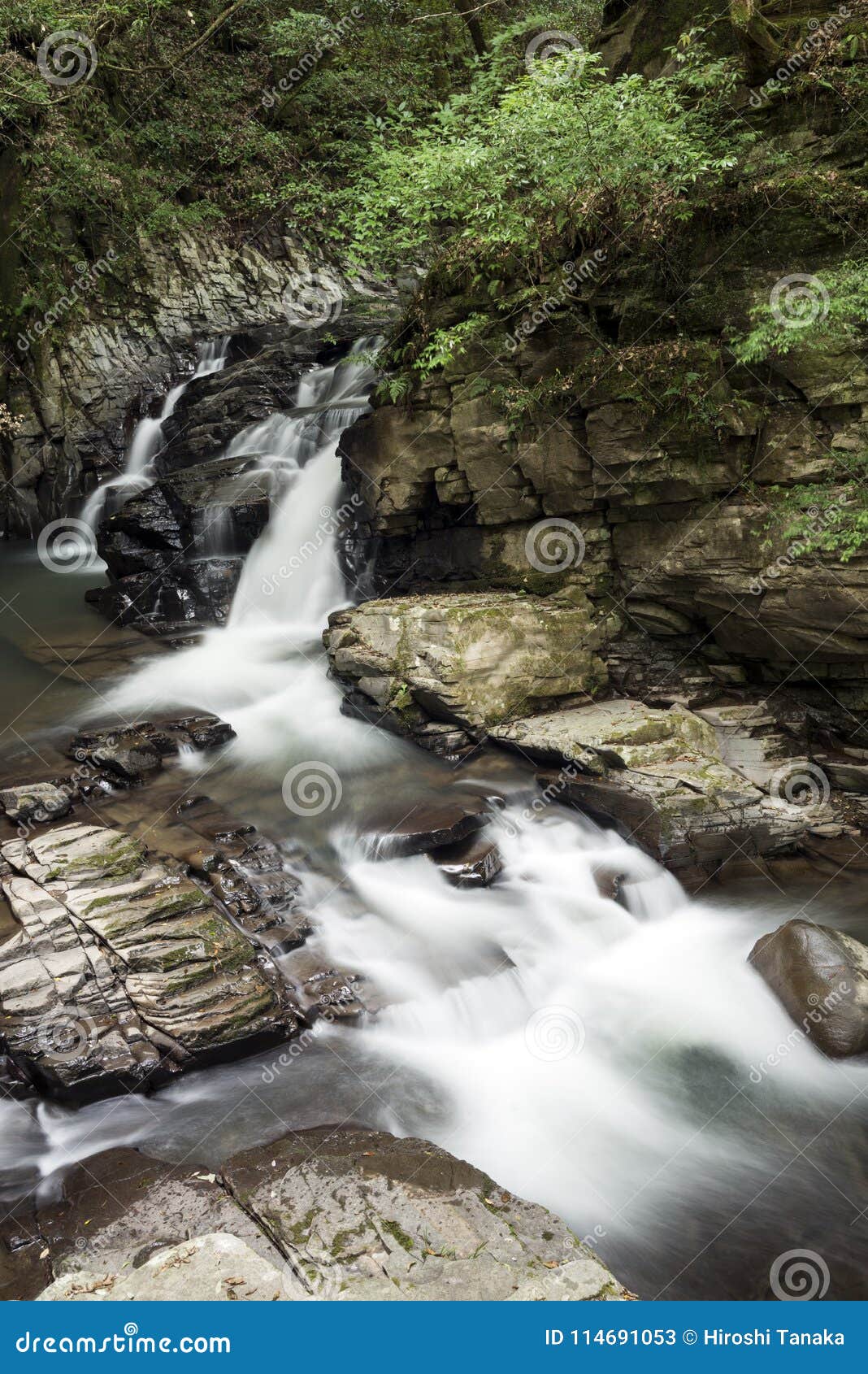 Brook Flowing from Waterfall Stock Image - Image of brook, clear: 114691053