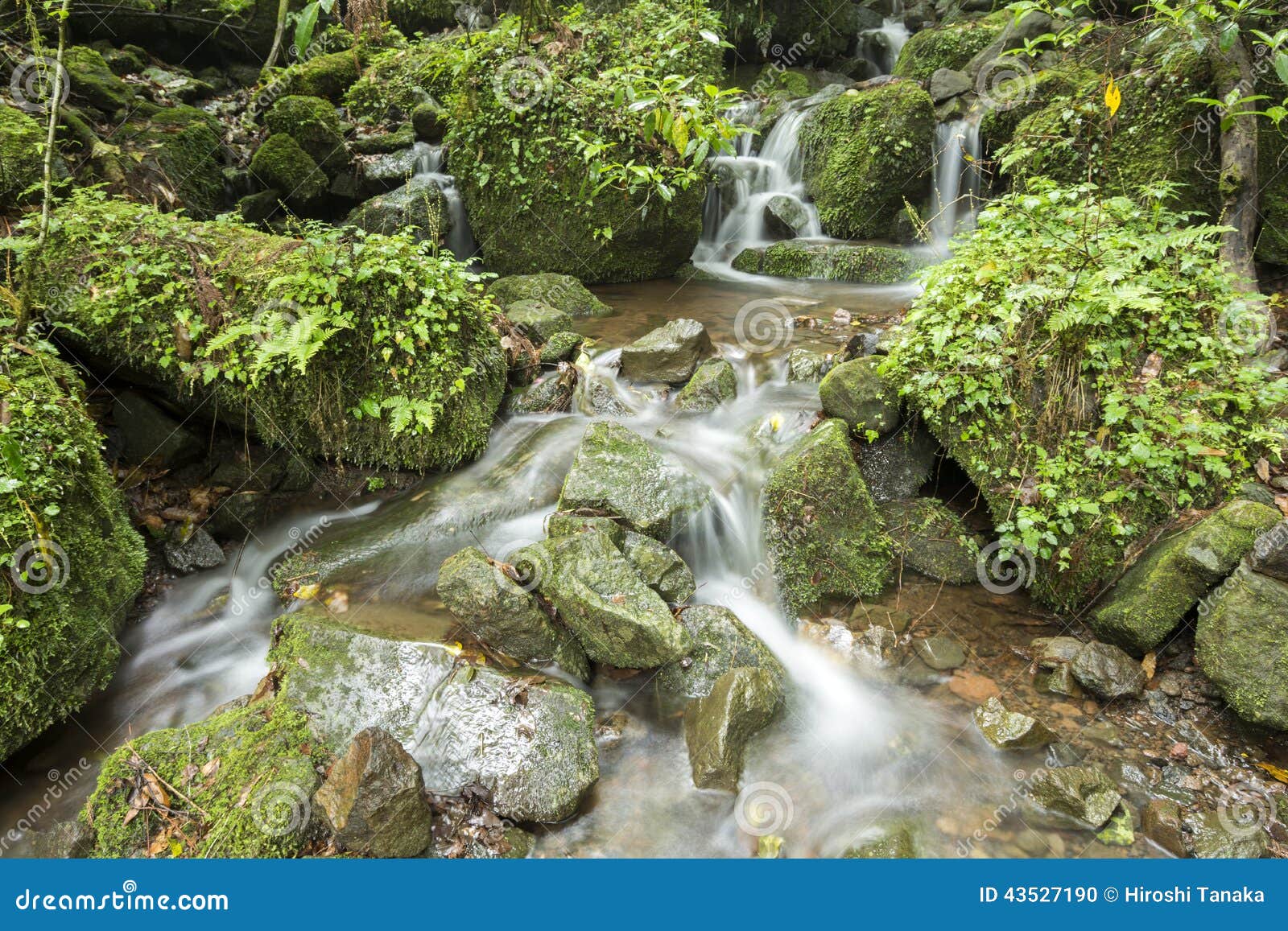 Brook flowing stock photo. Image of bracing, moss, refreshing - 43527190