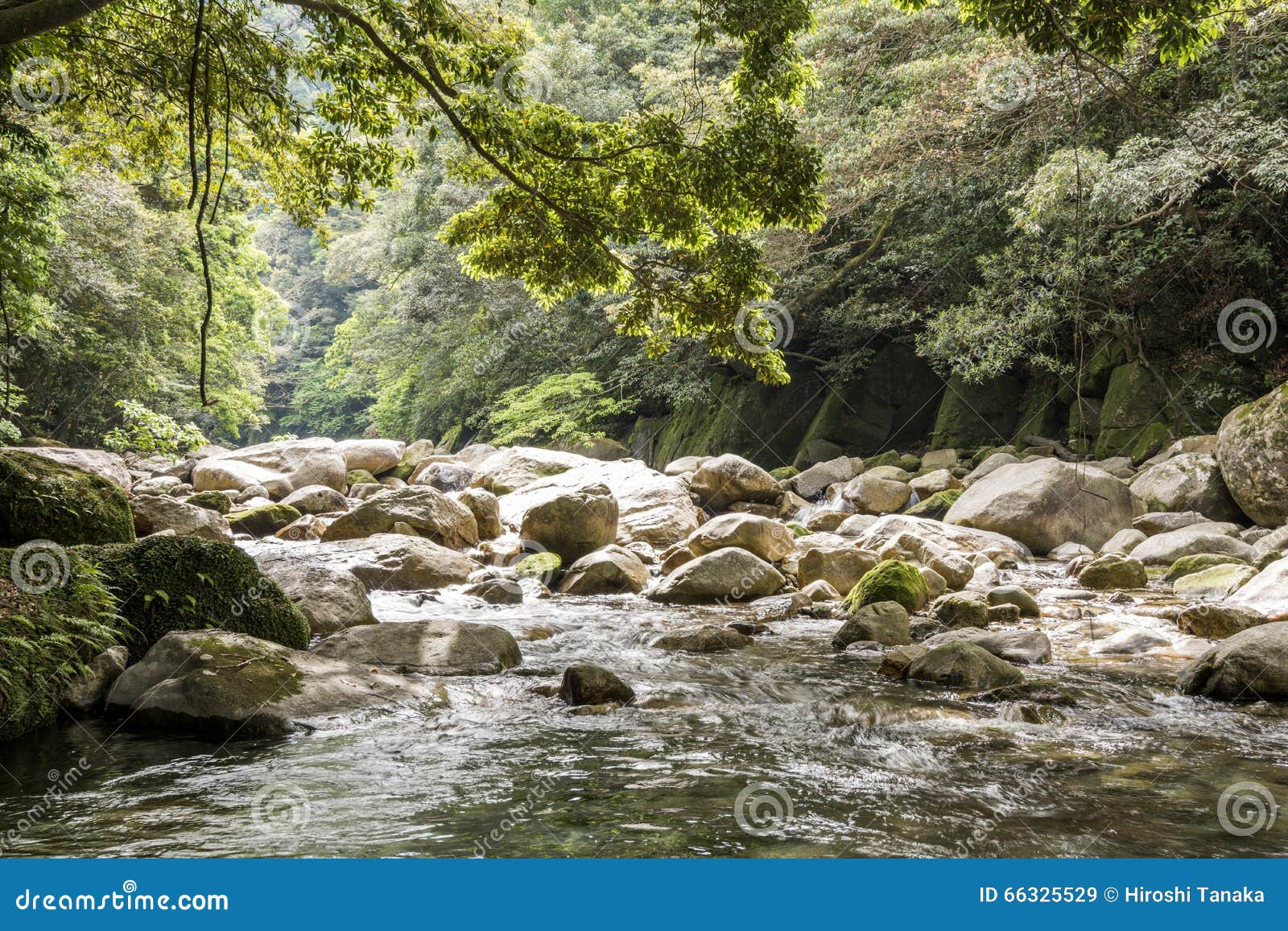 Brook flowing among stones stock image. Image of bracing - 66325529