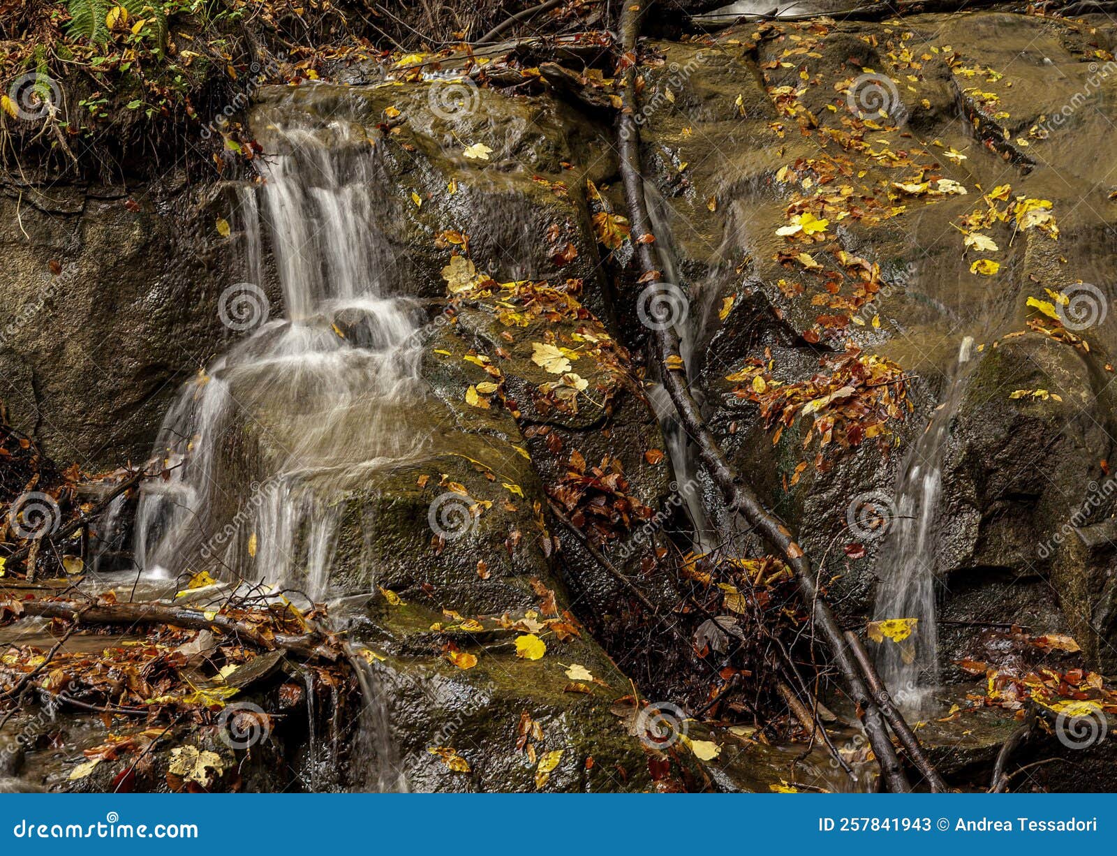 The Brook Flows among the Stones and Autumn Leaves Stock Image - Image ...