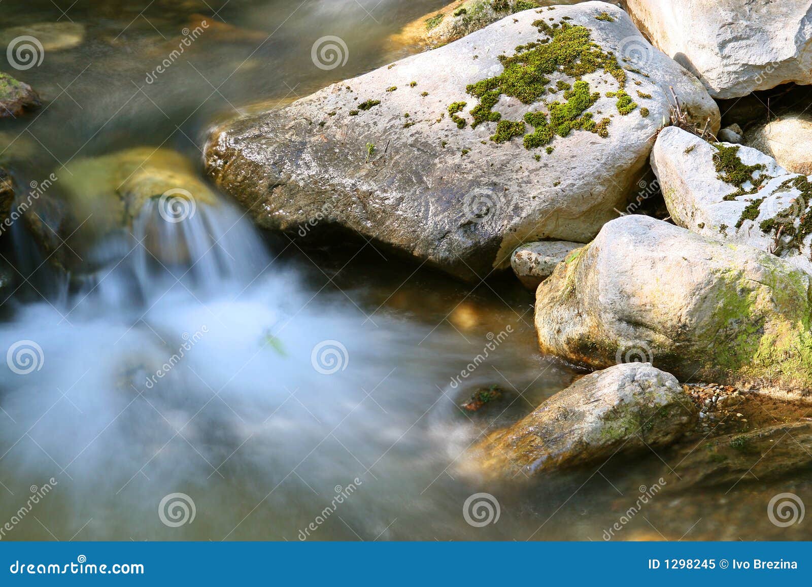 Brook in the forest stock image. Image of nant, tree, watercourse - 1298245