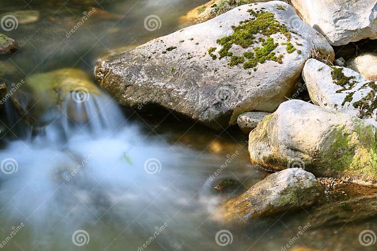 Brook in the forest stock image. Image of nant, tree, watercourse - 1298245