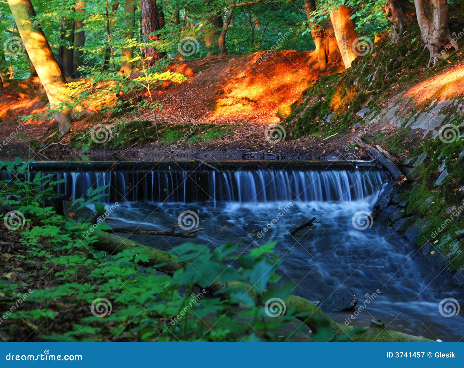 Brook in Forest with Waterfall Stock Image - Image of light, dusk: 3741457