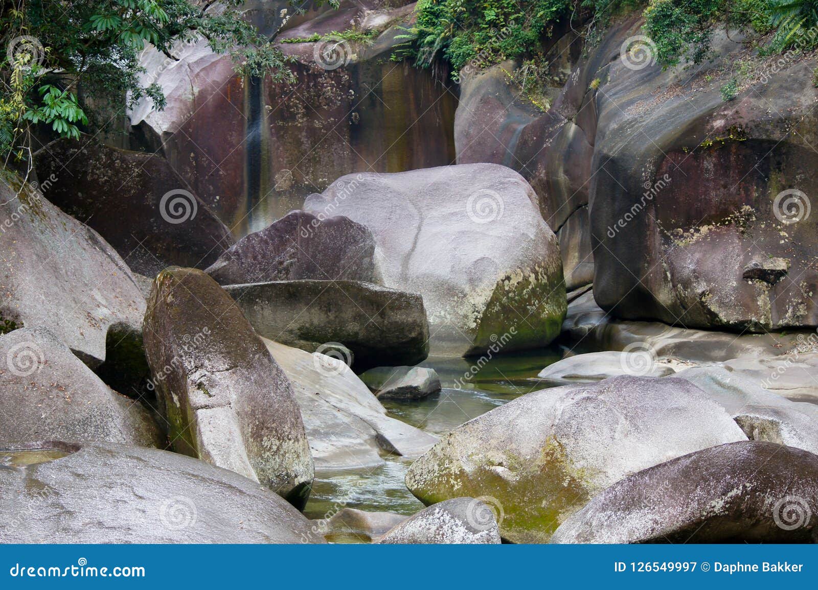 Brook with mossy rocks stock image. Image of trees, ravine - 126549997