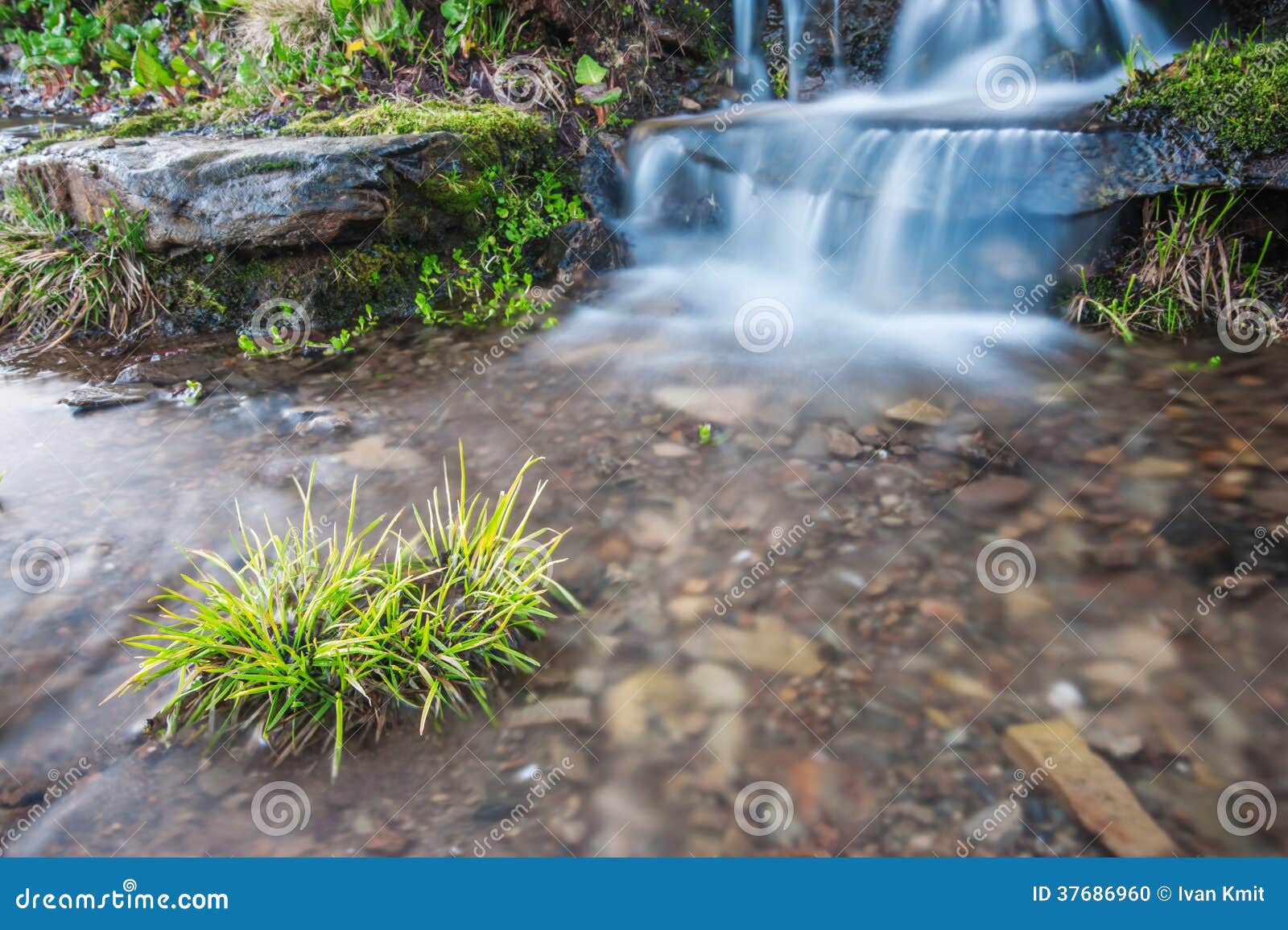 Brook stock photo. Image of mountain, spring, flowing - 37686960
