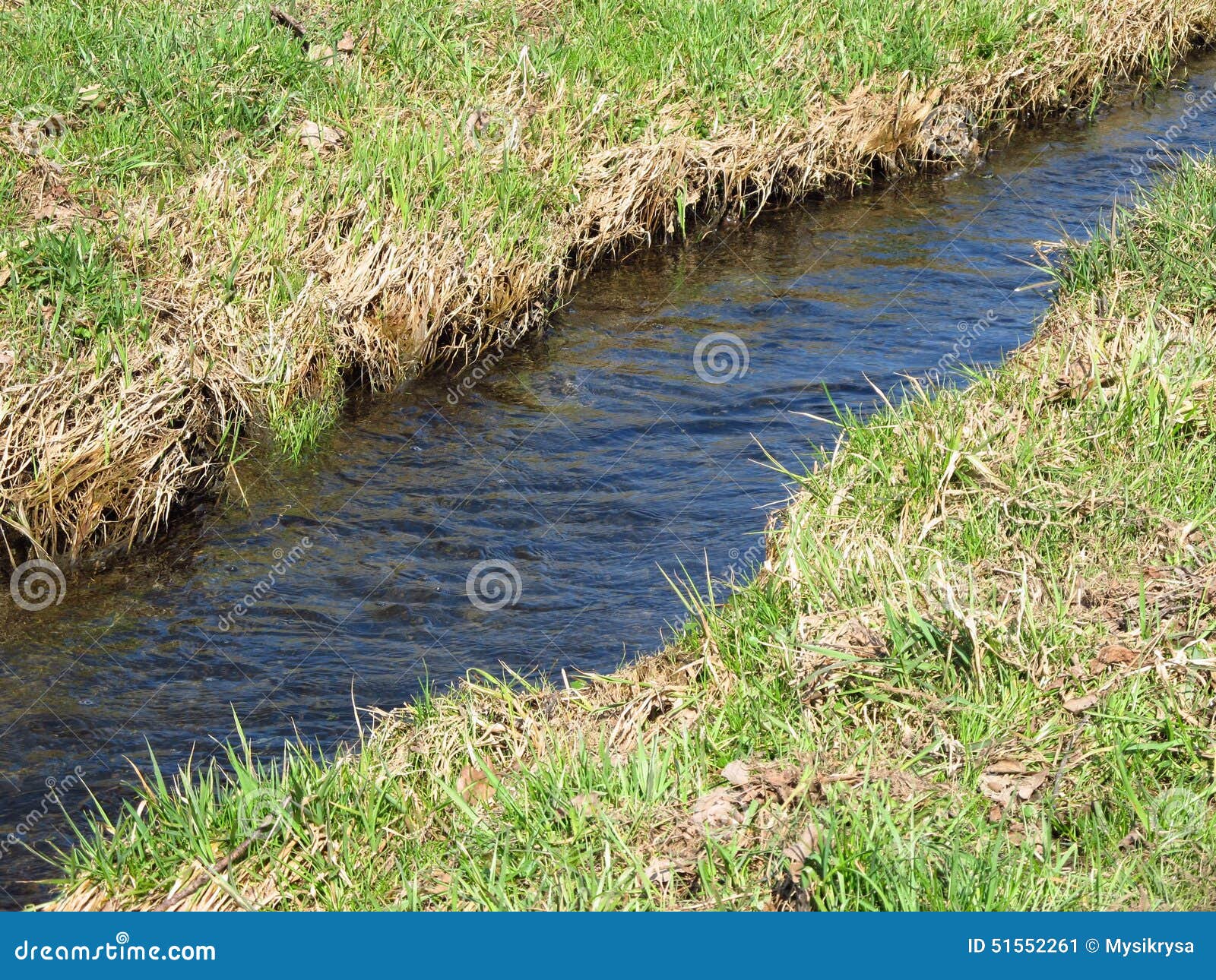 Brook stock image. Image of water, grass, banks, ecology - 51552261