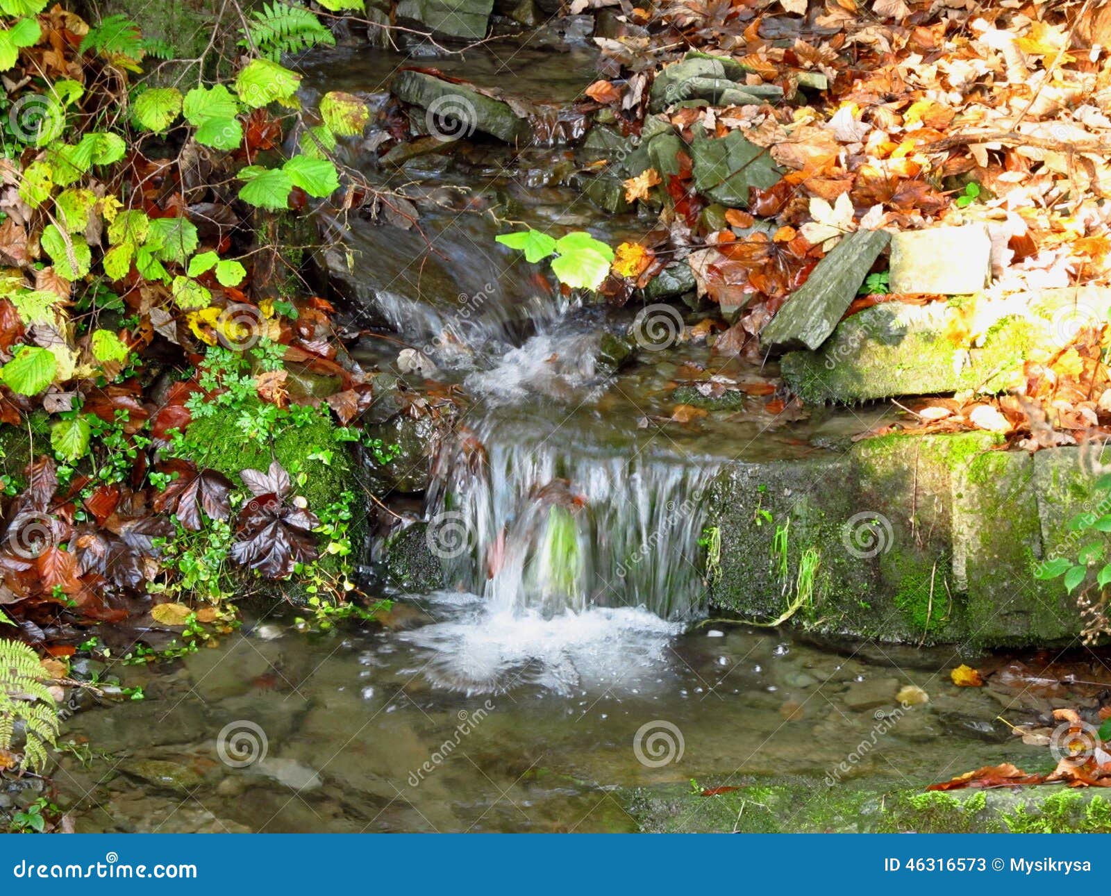 A brook in the nature stock image. Image of beautiful - 46316573